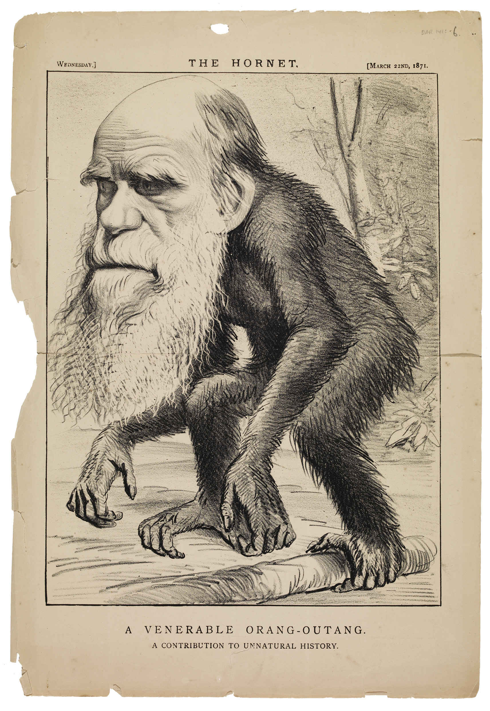 Descent published | Darwin Correspondence Project Descent published | Darwin Correspondence Project